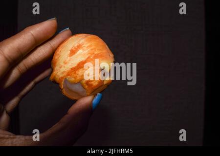 Ice apples also known as Palmyra from a Palm tree. Toddy munjal Stock ...