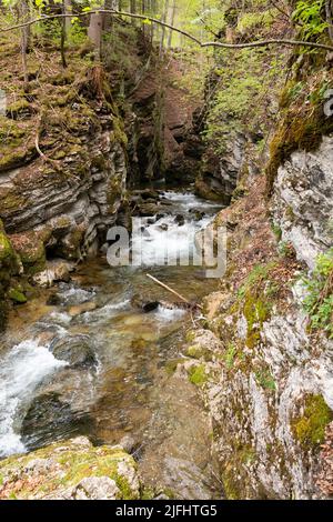 Unterwasser, Switzerland, May 5, 2022 Little alpine river flows along a ...