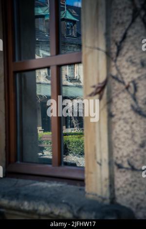 Vertical shot of a wooden window on a beautiful leaf covered wall Stock ...