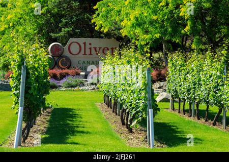 Oliver, British Columbia, Canada - June 29, 2022: "Canada's Wine ...