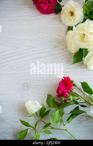 Set of many beautiful red roses isolated on white Stock Photo - Alamy
