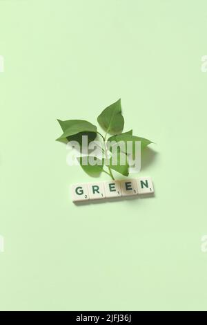 Green formed of scrabble tiles with tree branches Stock Photo - Alamy