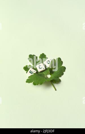 Eco formed of scrabble tiles with tree leaf Stock Photo - Alamy