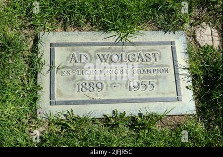 Adolph Wolgast; Michigan Wildcat Stock Photo - Alamy