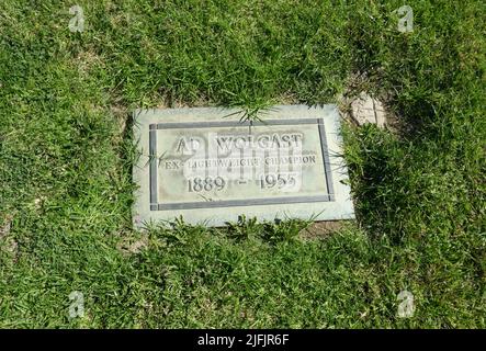 Adolph Wolgast; Michigan Wildcat Stock Photo - Alamy