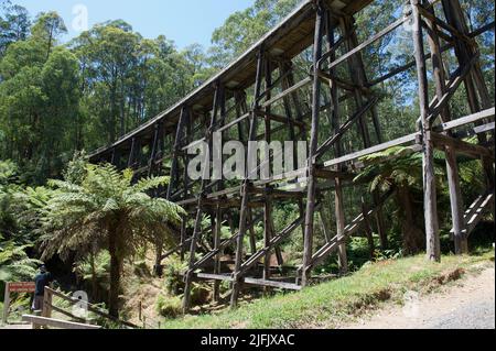 The Noojee Trestle bridge was built to carry the railway from Warragul ...