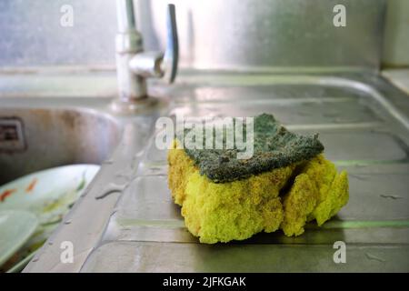 Selective focus of a worn out, stinky, dirty and moldy kitchen sponge ...