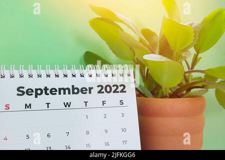 September 2022 green Desk calendar with pink alarm clock on wooden ...