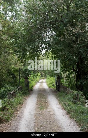 The uncontaminated nature of the Le Bine oasisalberi Stock Photo - Alamy