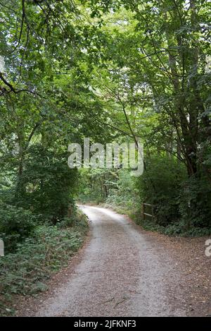 The uncontaminated nature of the Le Bine oasisalberi Stock Photo - Alamy
