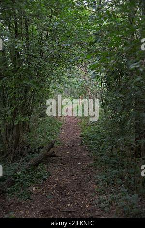The uncontaminated nature of the Le Bine oasisalberi Stock Photo - Alamy