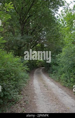 The uncontaminated nature of the Le Bine oasisalberi Stock Photo - Alamy