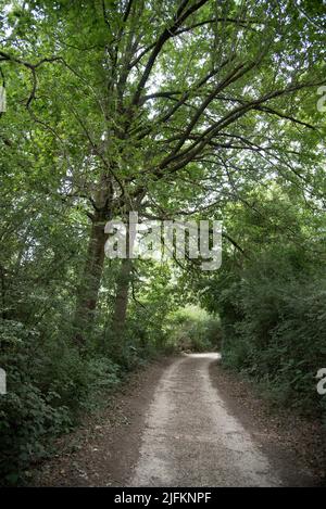 The uncontaminated nature of the Le Bine oasisalberi Stock Photo - Alamy