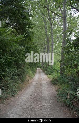 The uncontaminated nature of the Le Bine oasisalberi Stock Photo - Alamy