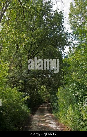 The uncontaminated nature of the Le Bine oasis Stock Photo - Alamy