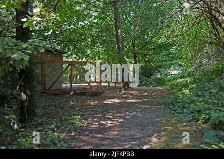 The uncontaminated nature of the Le Bine oasis Stock Photo - Alamy