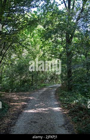 The uncontaminated nature of the Le Bine oasis Stock Photo - Alamy