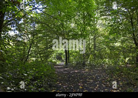 The uncontaminated nature of the Le Bine oasis Stock Photo - Alamy