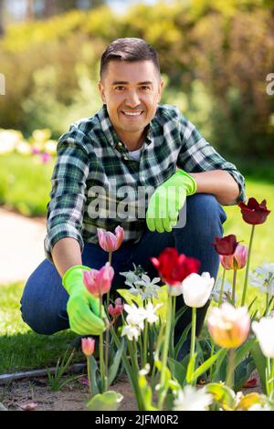 middle-aged man taking care of flowers at garden Stock Photo - Alamy