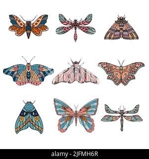 Set of vector night butterflies, moths. Hand drawn illustration Stock ...
