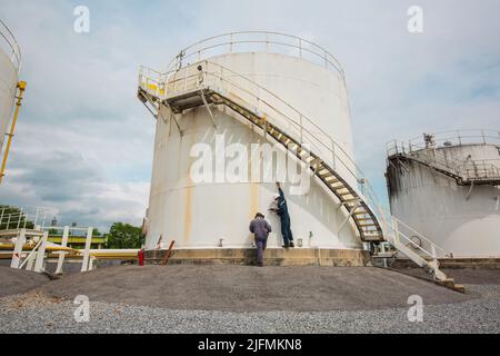 Male worker are for inspection ultrasonic thickness roof plate dome top ...