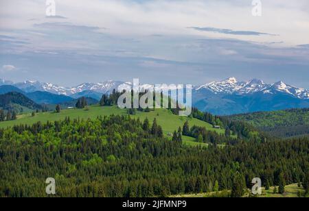 Landscape from the Tihuta pass - Romania in spring Stock Photo - Alamy