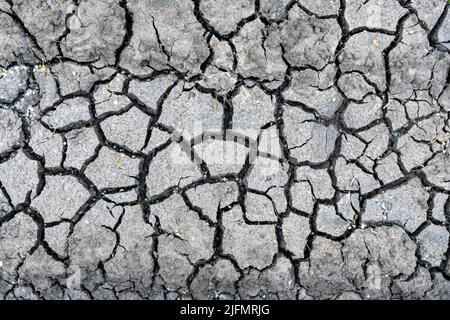 Dry cracked surface of an earthen unpaved rural road with traces of ...