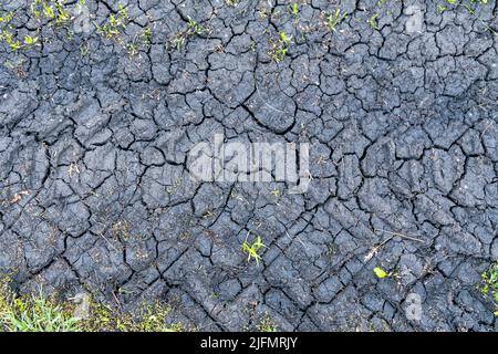 Dry cracked surface of an earthen unpaved rural road with traces of ...