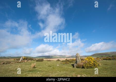 Waldo's Stone, Maenclochog, Pembrokeshire, Wales, UK Stock Photo - Alamy