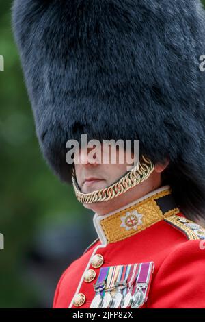 A Life Guard. The senior regiment of the British Army and one half of ...