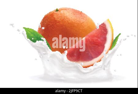 Fresh grapefruit in milk yogurt cream splashes realistic vector ...