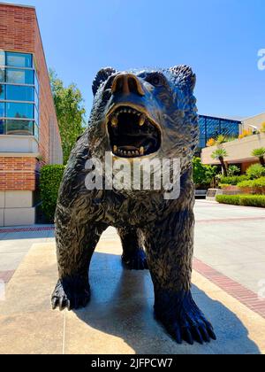 The UCLA Bruin bear statue Stock Photo - Alamy