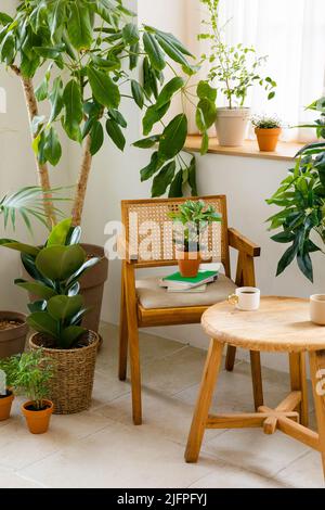 planterior, raising plants at home Stock Photo - Alamy