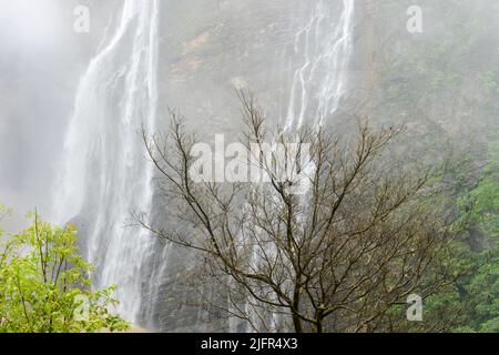 Mist and lush green around Jog waterfalls in Karnataka in south India ...