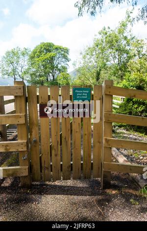 No Tents Sign On Campsite Gates, Scotland, UK Stock Photo - Alamy