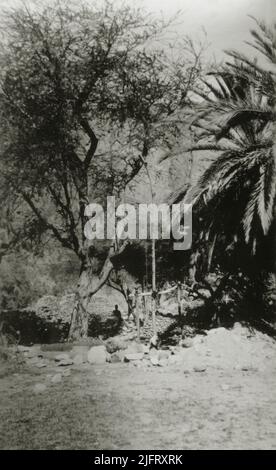 Water well for irrigation, Shadoof (Shaduf), Egypt, North Africa Stock ...