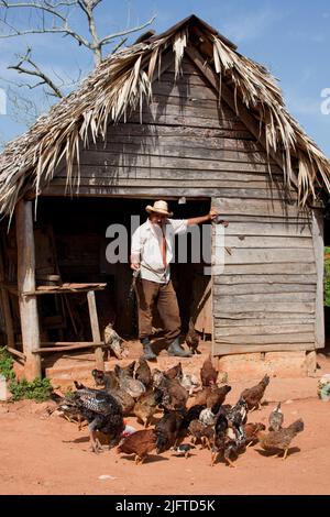 Building farm for chicken poultry houses and barn Philippines ...