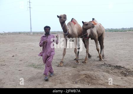 (7/1/2022) Buyers and sellers gather together at the sacrificial animal ...