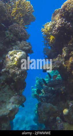 Sailing through a rift in a coral reef. Sun rays in beautiful ...