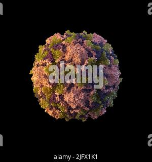 Polio virus particle, illustration Stock Photo - Alamy