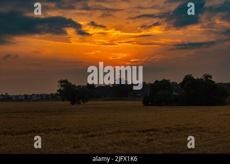 Beautiful cloudy sunrise over big yellow field and trees of forest ...