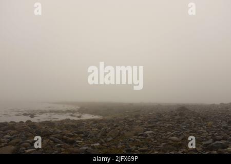 Heavy Fog during Low tide at Rocky Beach Stock Photo - Alamy