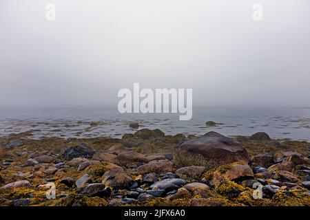 Heavy Fog during Low tide at Beach Stock Photo - Alamy