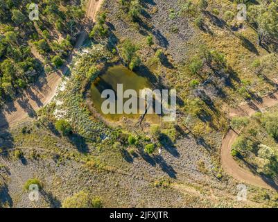 Looking down over a pool of swampy water within the Sapphire Wetlands ...
