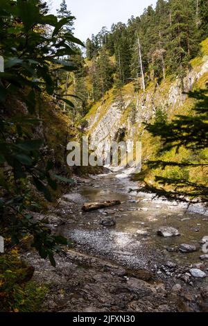 A vertical shot of a river with forested hills under a cloudy sky Stock ...