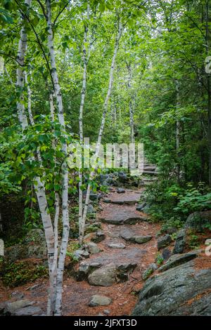 Onaping falls hiking trail, Ontario, Canada Stock Photo - Alamy