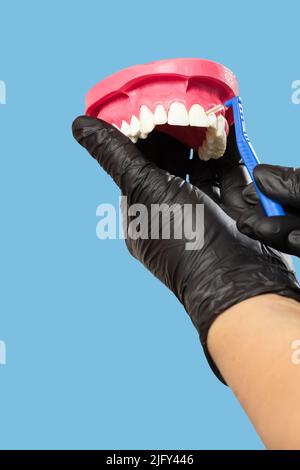 Human jaw layout and interdental toothpick brushes Stock Photo - Alamy