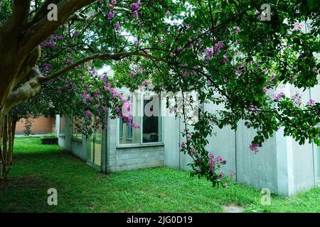 Emergency exit from the rese of a refectory of a Magenta elementary ...
