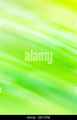 Green haze bokeh backdrop. Green olive color blurred motion out of ...