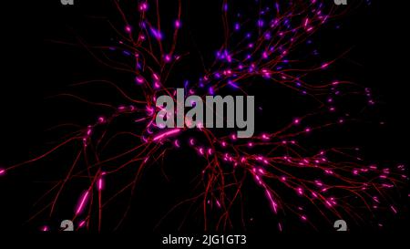 Neuron network, synapses animation. Design. Neurons inside the human ...